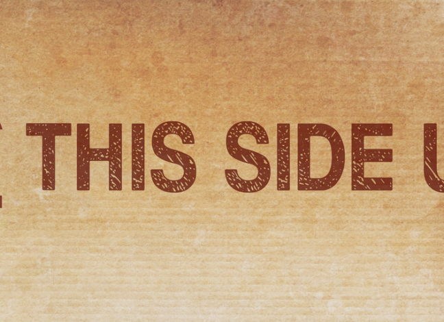 Viola Sans Serif Font - Download Free Font