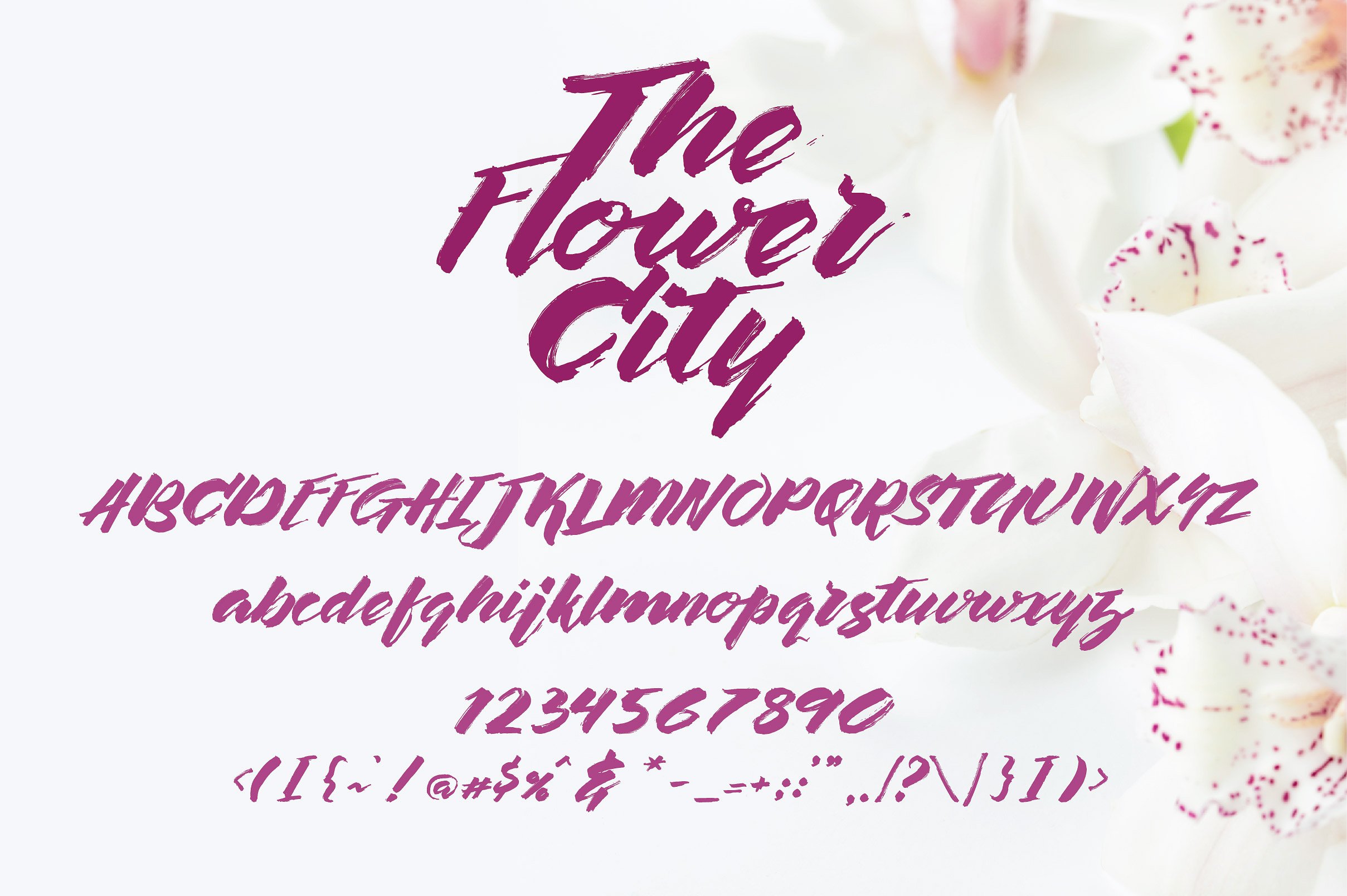 The Flower City Script Font - Befonts.com