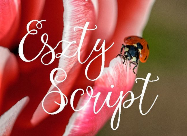 Lugati Font Family - Download Free Font
