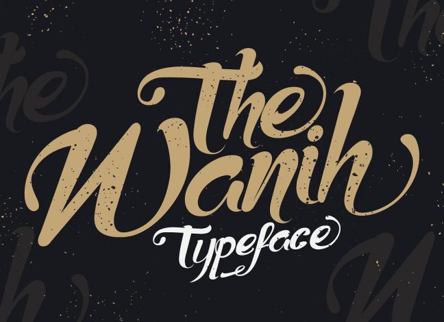 The Castellon Script Font - Download Free Font