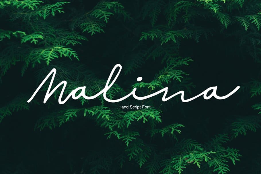 Malina Script Font - Download Free Font
