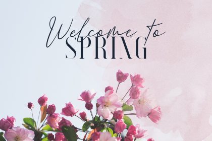 Searchlight Font Trio - Download Free Font