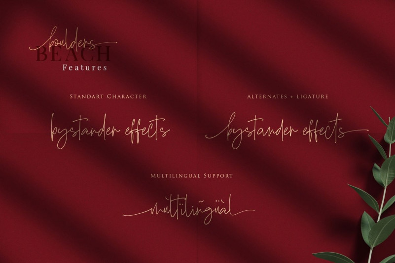 Boulders Beach Script Font - Download Free Font