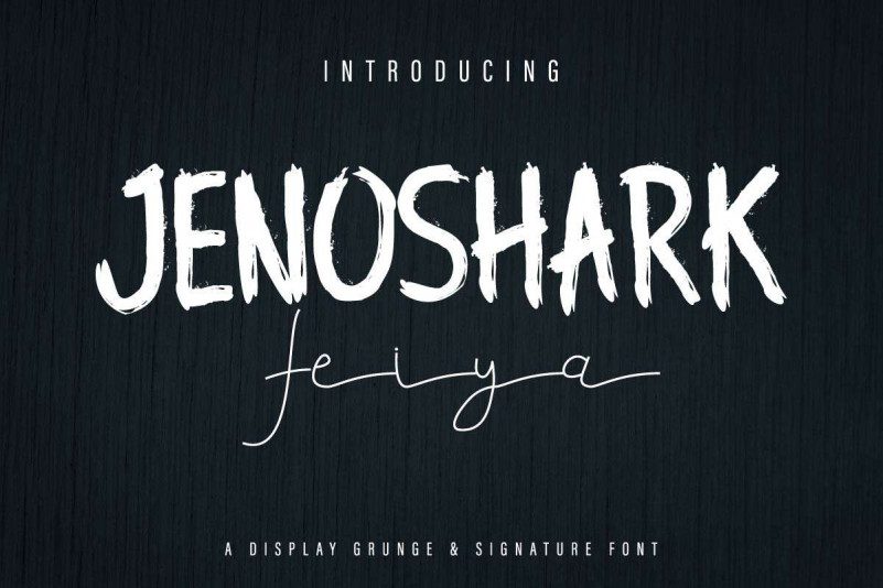 Jenoshark Feiya Font Duo - Befonts