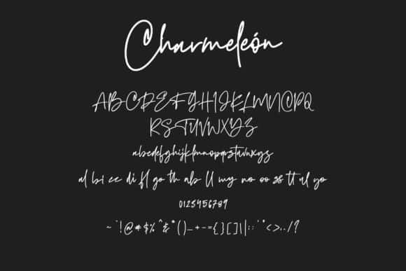 Charmeleon Handwritten Font - Download Free Font