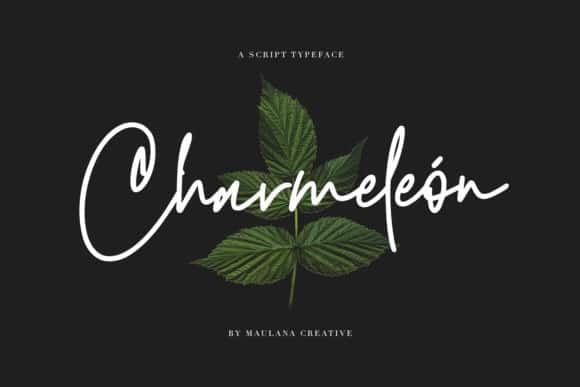 Charmeleon Handwritten Font - Download Free Font