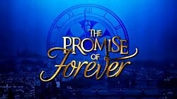 THE PROMISE OF FOREVER Font Use - Download free fonts