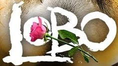 LOBO font use - Download free fonts