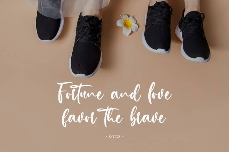 Feel Better Brush Font - Download Free Font