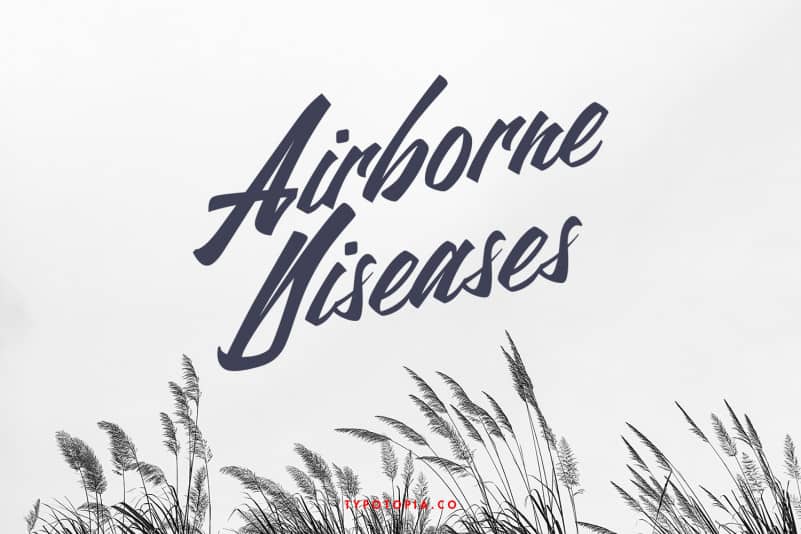 Northline Modern Script Font - Download Free Font