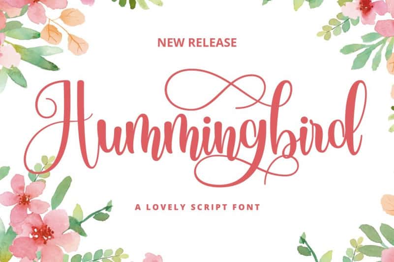 Hummingbird Script Font - Download Free Font