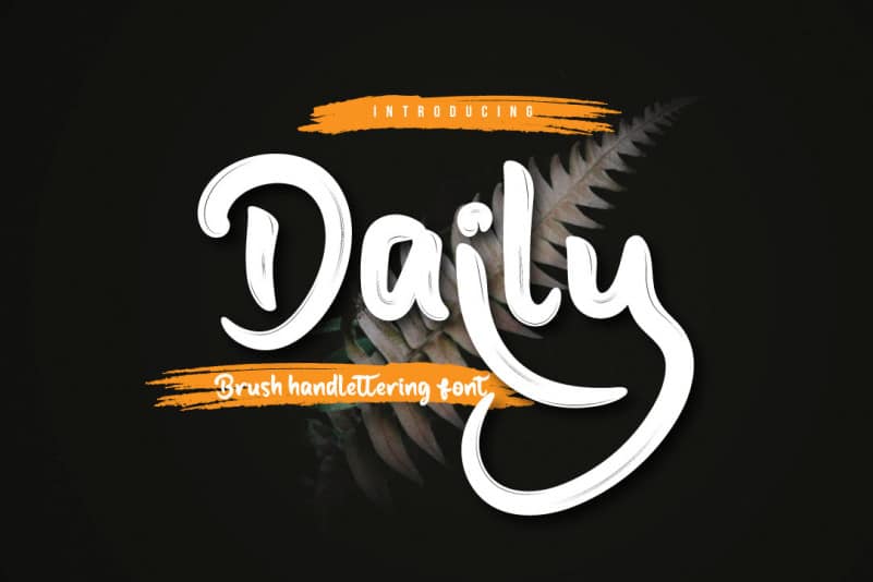Daily Script Font - Download Free Font