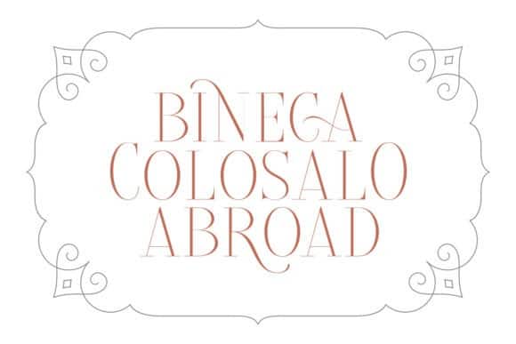 Brioche Serif Font - Download Free Font