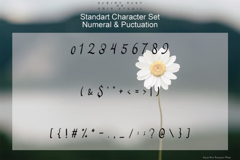 Daisy Flowers Script Font - Download Free Font