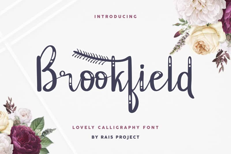 Brookfield Script Font - Befonts