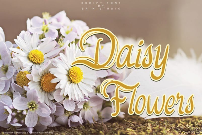 Daisy Flowers Script Font - Befonts.com