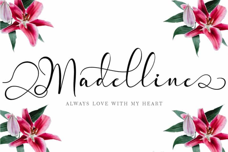 Madelline Calligraphy Font - Download Free Font