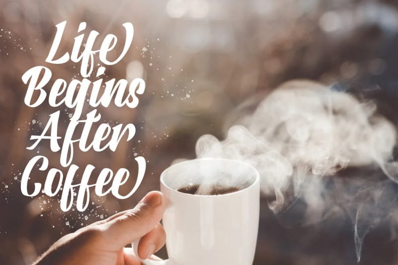 Rosalinda Script Font - Download Free Font