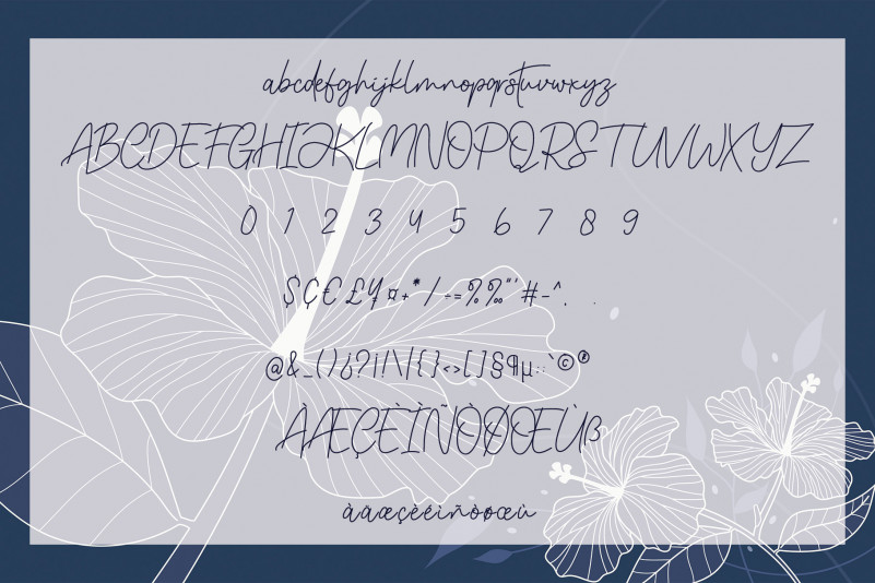 The Bingo Font - Download Free Font