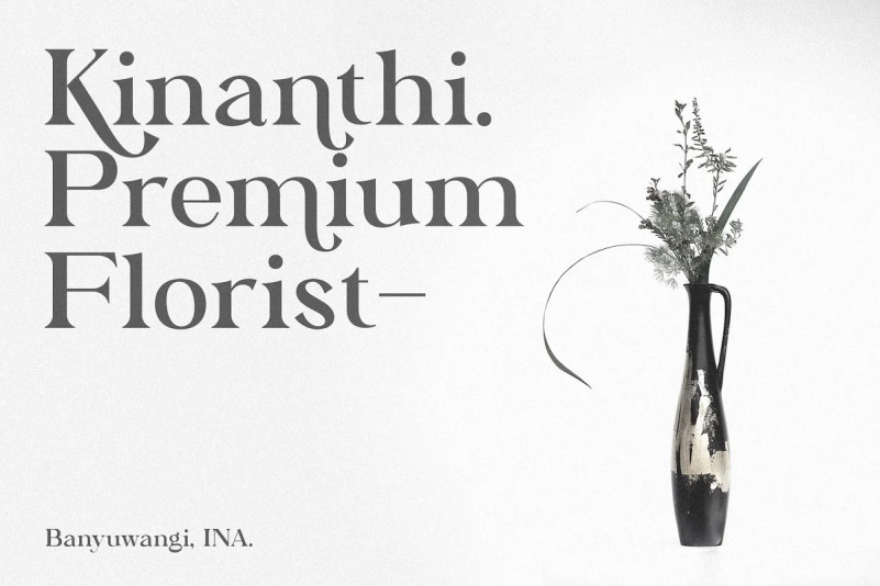 Bagator Serif Font - Download Free Font