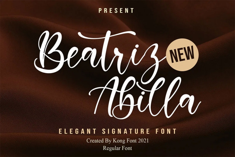 Beatriz Abilla Font - Download Free Font