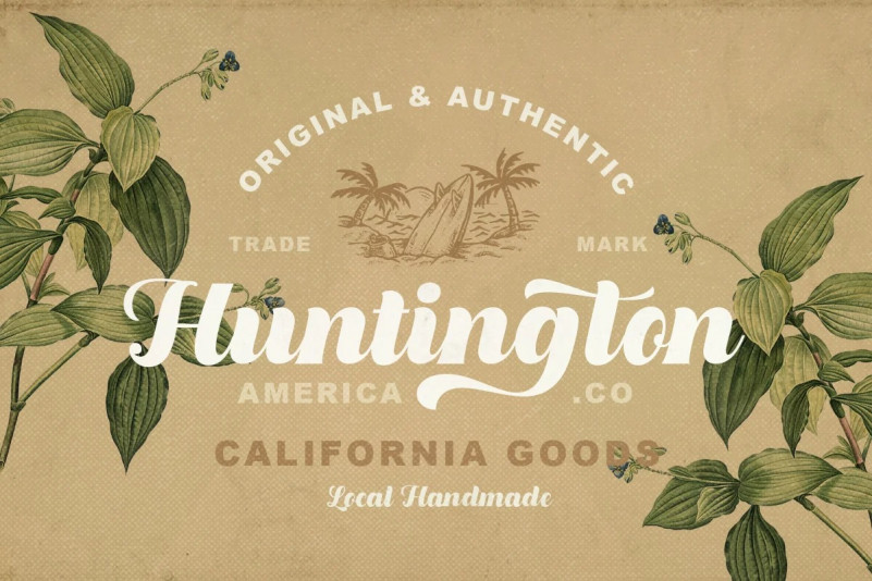 Dustland Bold Script Font - Download Free Font