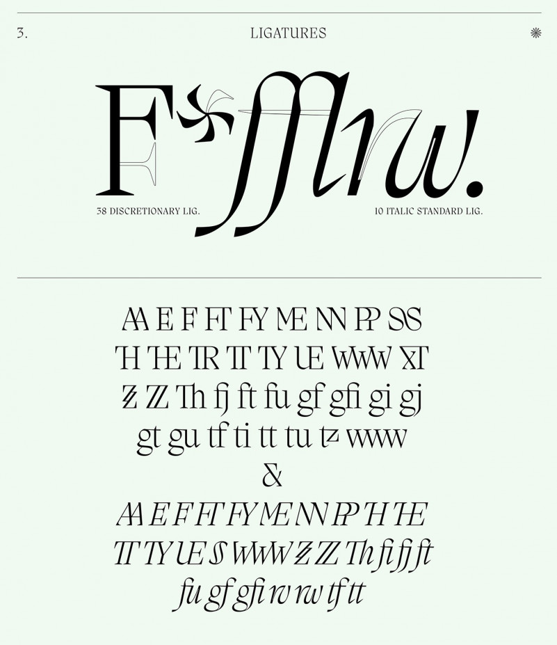 Migra Font Family - Download Free Font