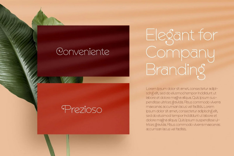 Quinger Font - Download Free Font