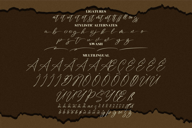 Washington Signature Font - Download Free Font