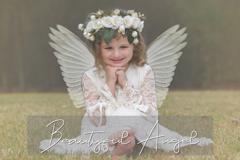 Angel Signature Font - Download Free Font