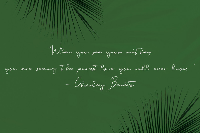 Angel Signature Font - Download Free Font