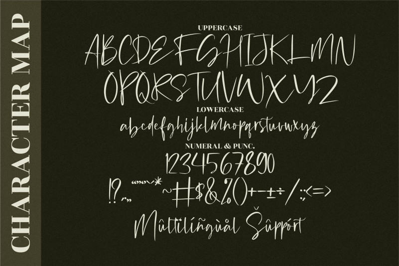 Michigan Custom Font - Download Free Font