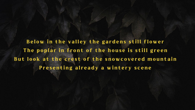 Teresa Font - Download Free Font