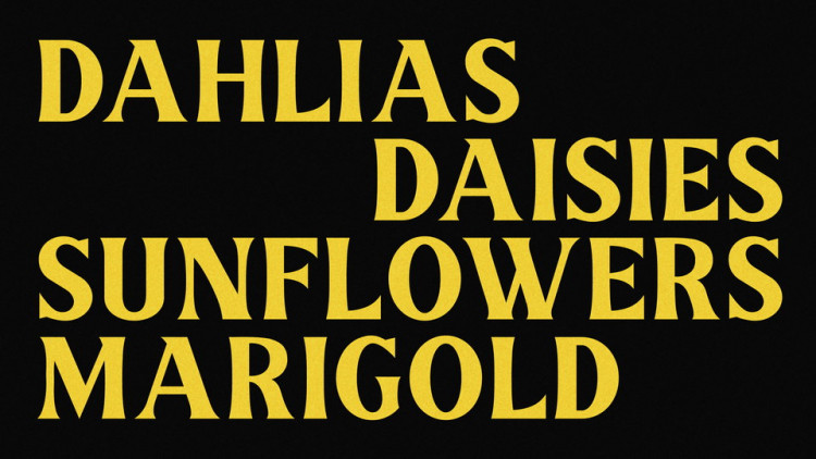 Teresa Font - Download Free Font