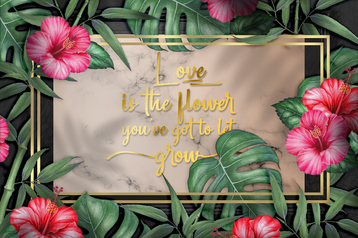 Samosa Font - Download Free Font