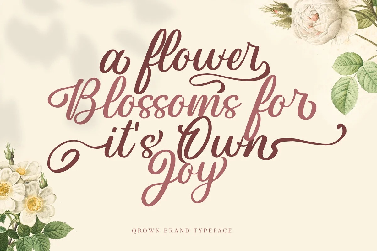 Aloha Olinda Font - Download Free Font