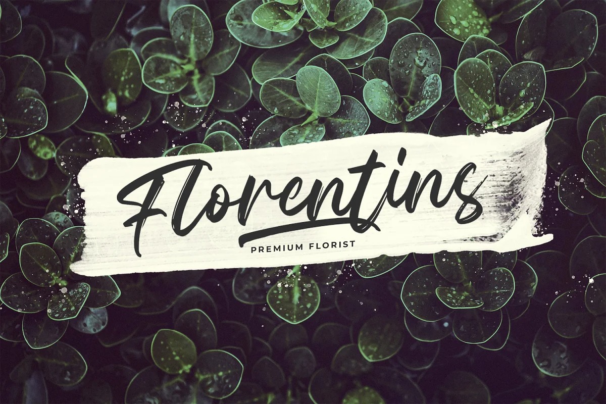 Celline Fram Font - Download Free Font