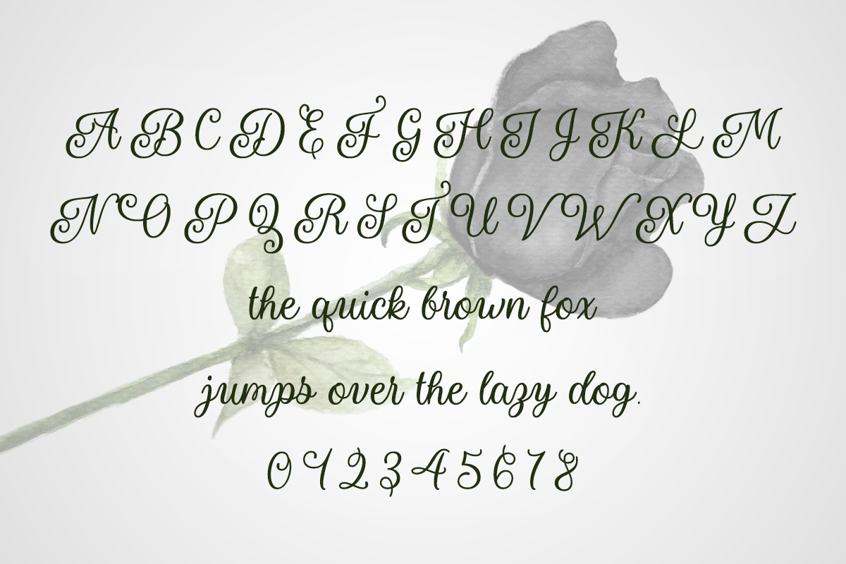 Naryssa Font - Download Free Font