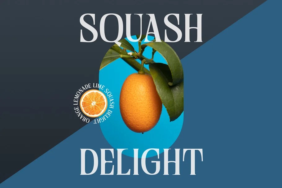 Servegin Font - Download Free Font