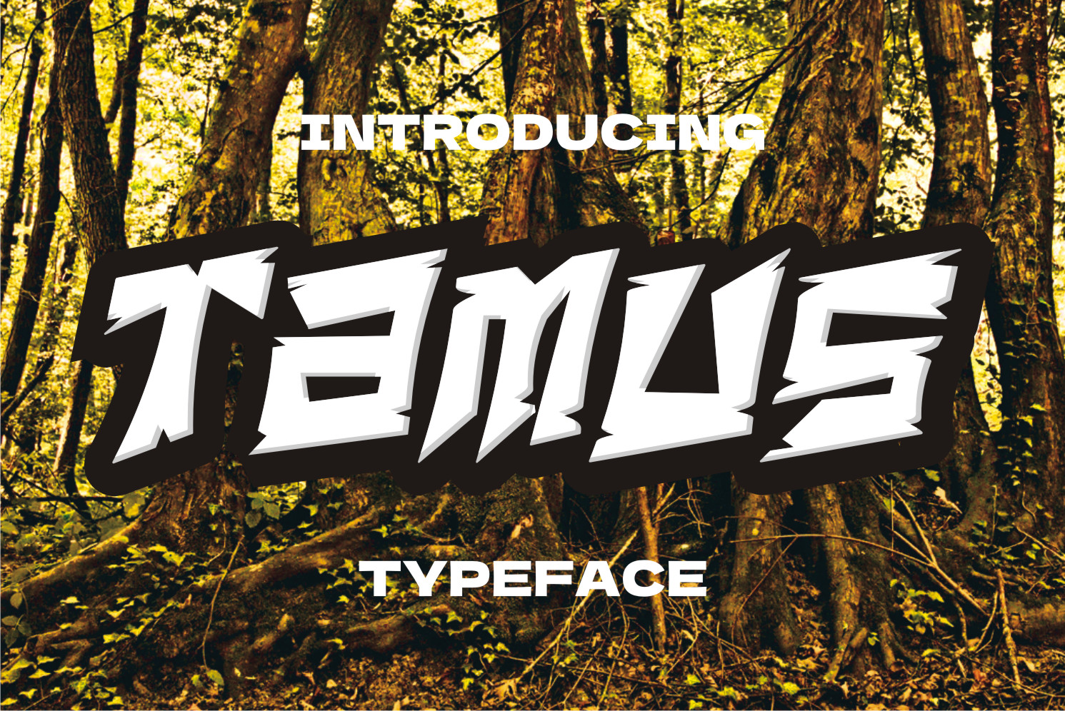 Tamus Font - Download Free Font