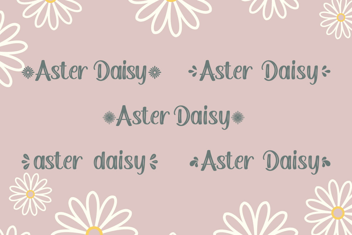 Aster Daisy Font - Download Free Font