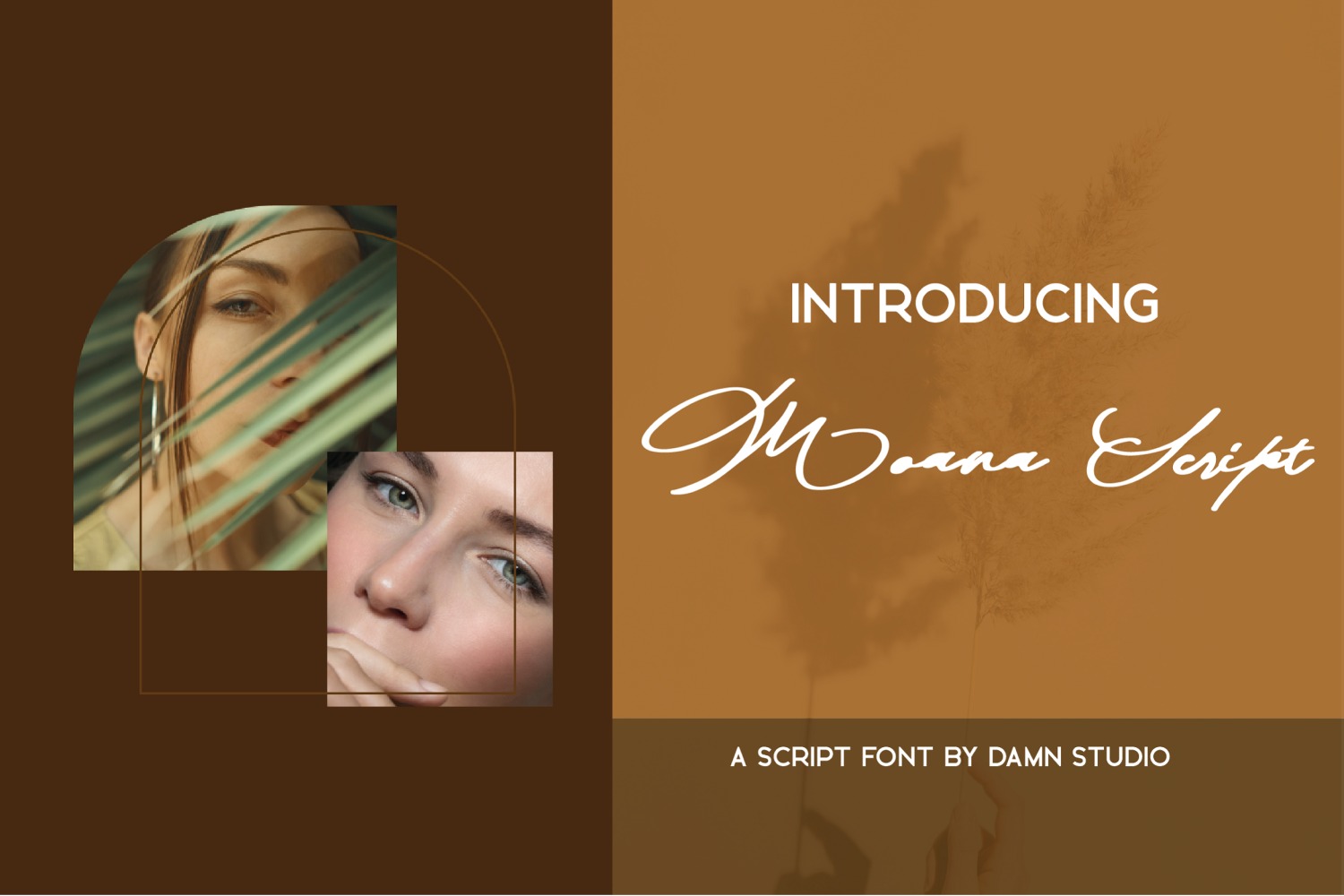 Moana Script Font - Download Free Font