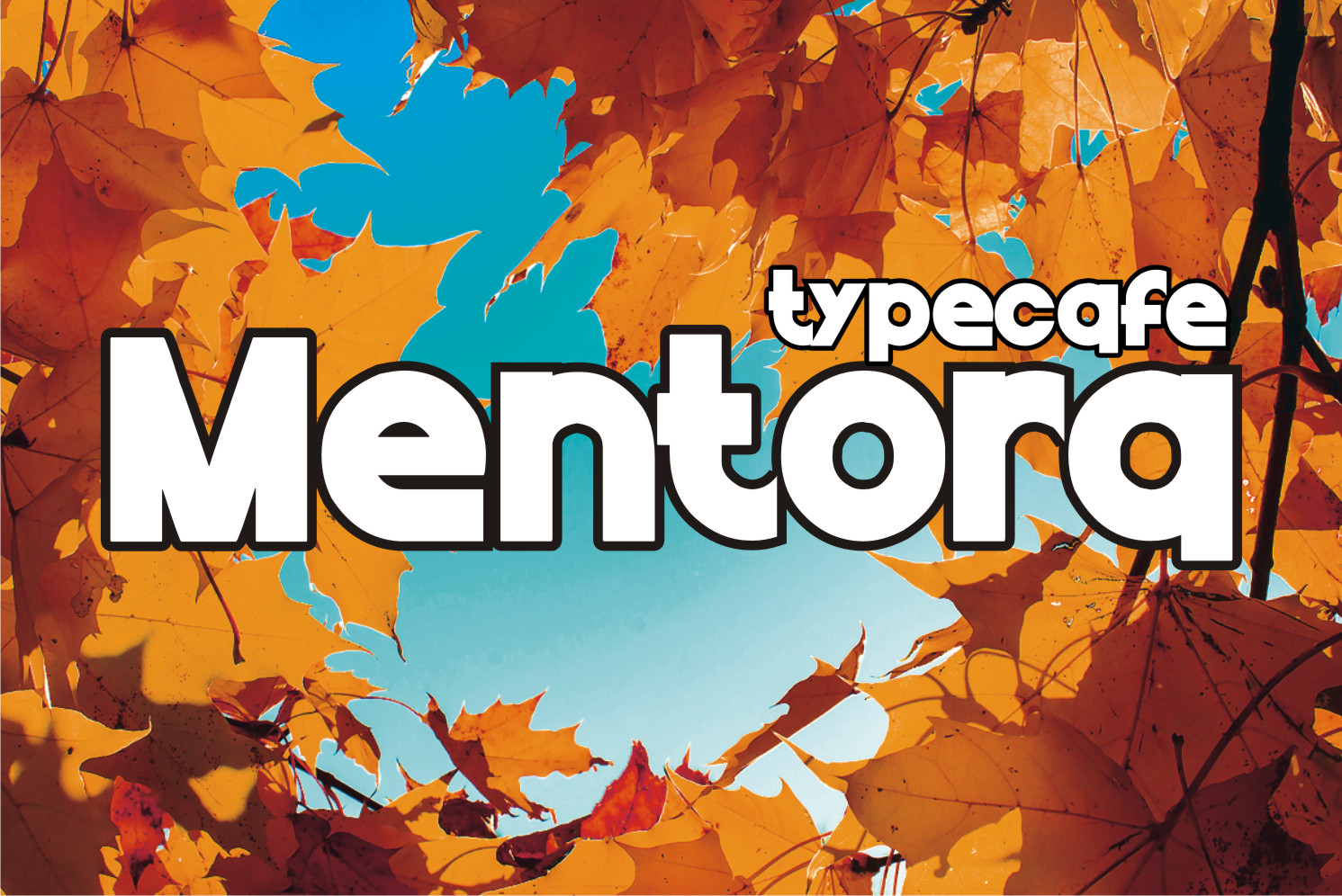 Mentora Font - Download Free Font