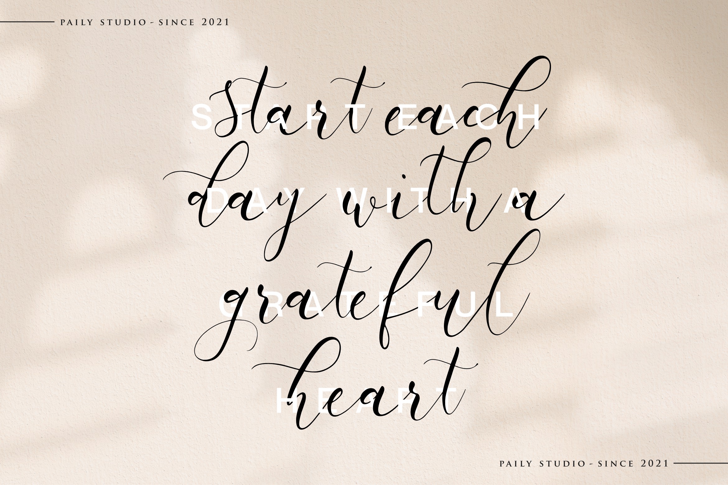 White Carley Calligraphy Font - Download Free Font