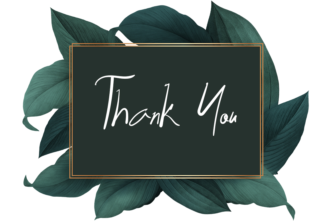 Solution Font - Download Free Font