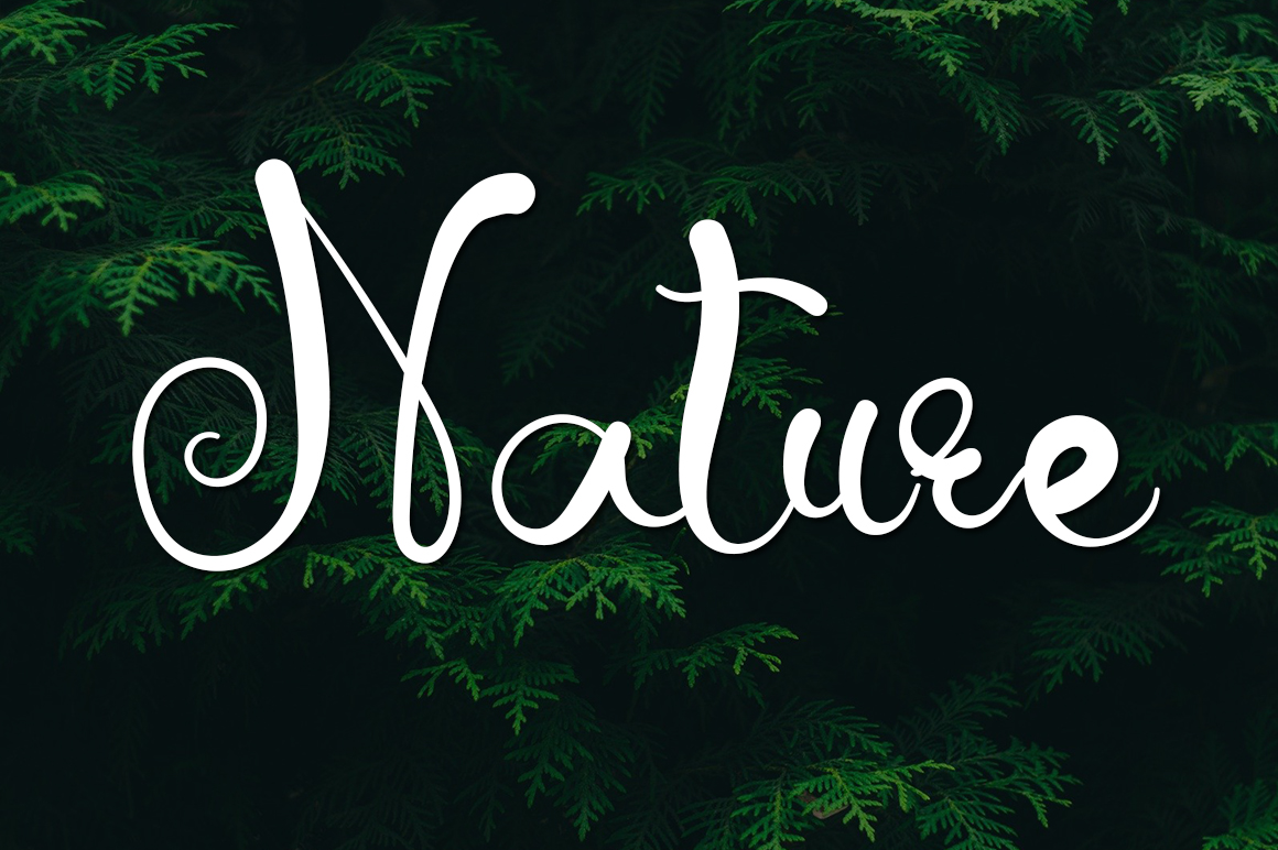 The Script Font - Download Free Font