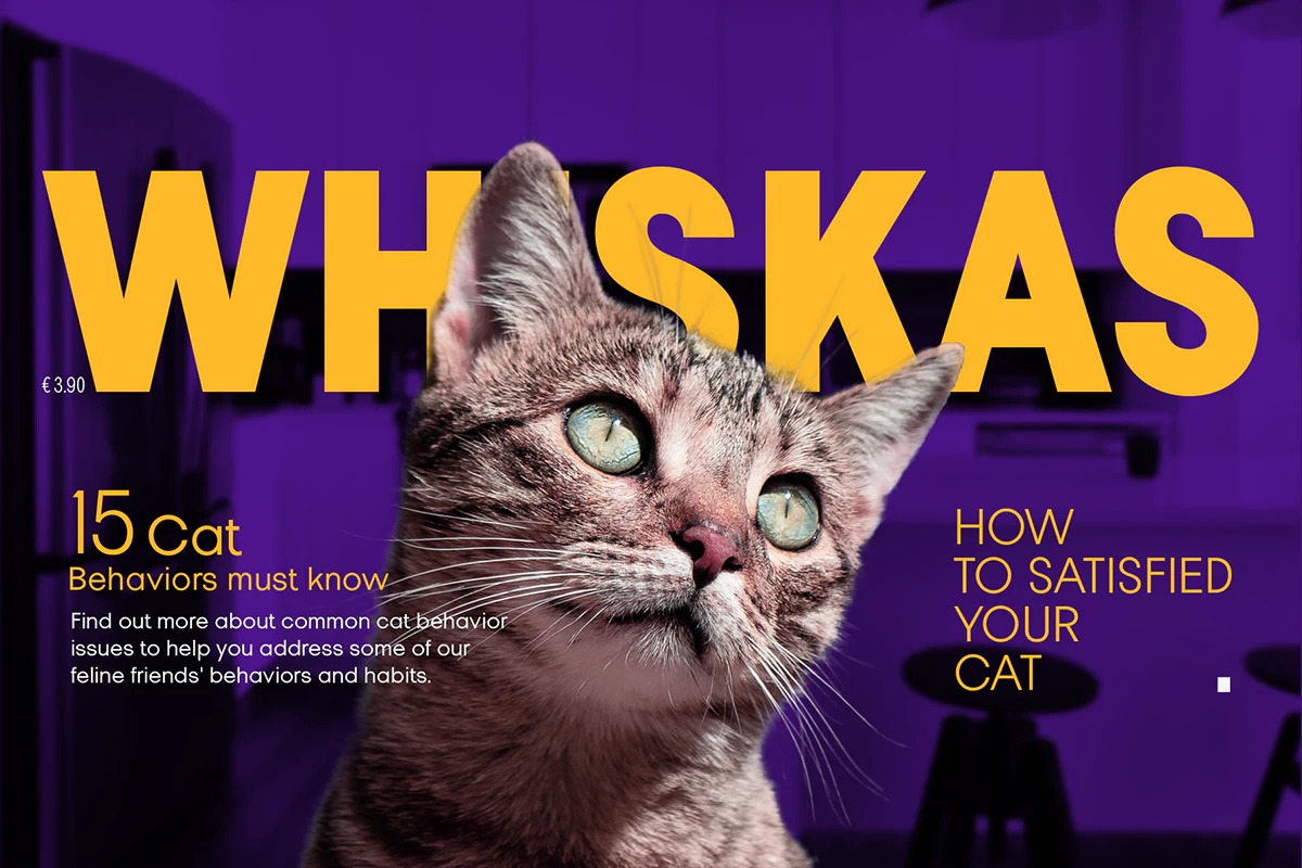 Pelinka Font Family - Download Free Font