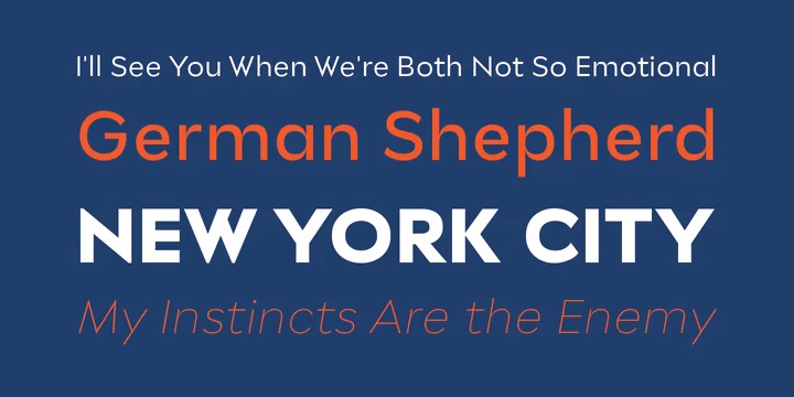 Stray Font Family - Download Free Font