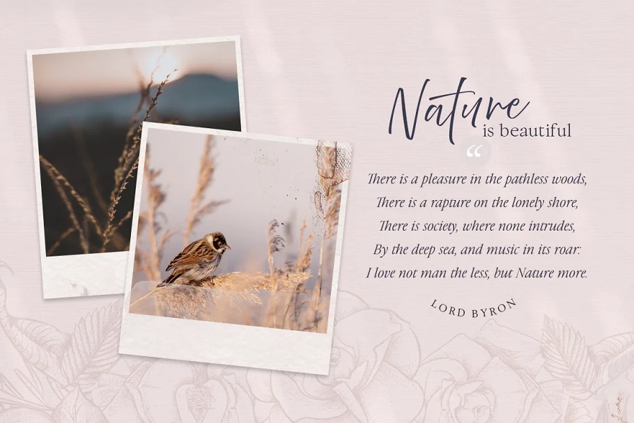 Above The Beyond Font Duo - Download Free Font