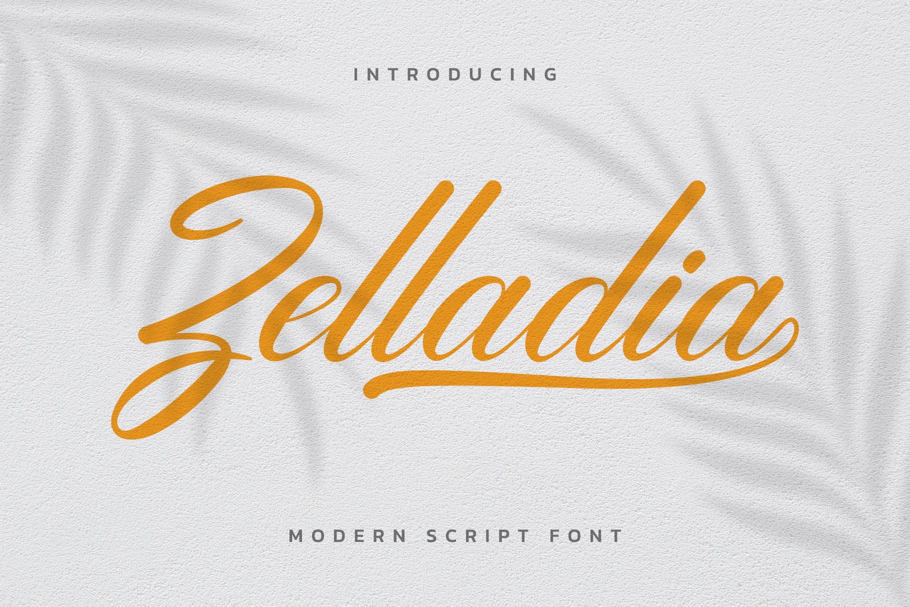 Zelladia Script Font - Download Free Font